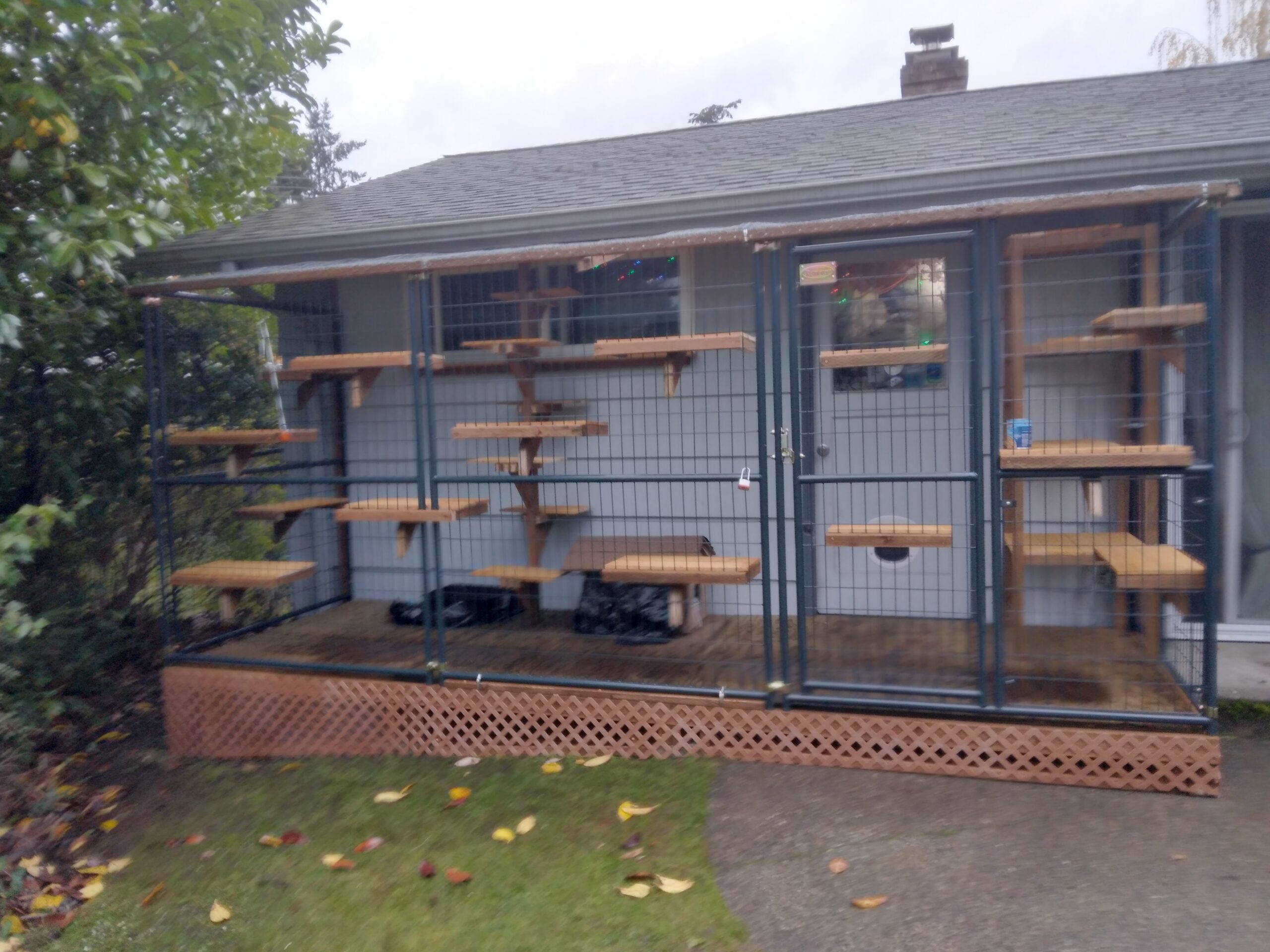 Medium Catios – Don's Custom Catios